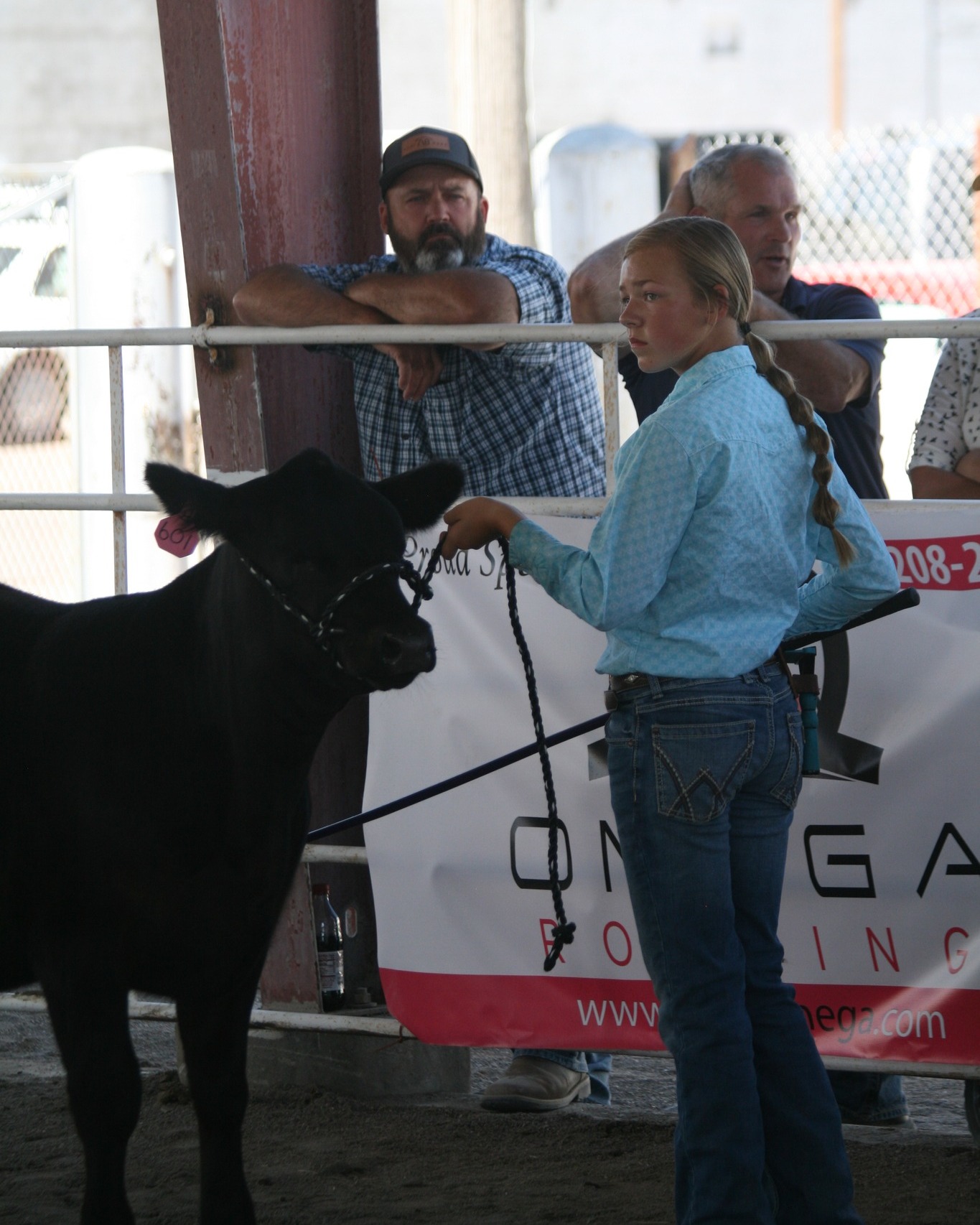 4H & FFA Animal Events