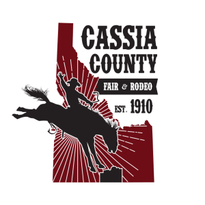 Home Tickets Program Activities