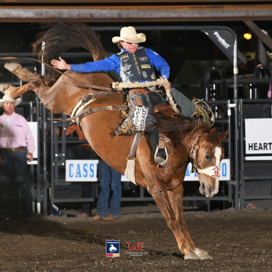 Rodeo