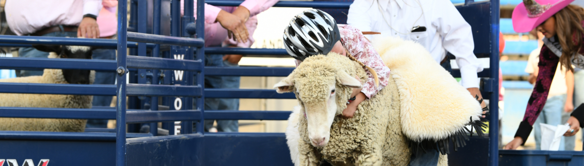 Mutton Bustin